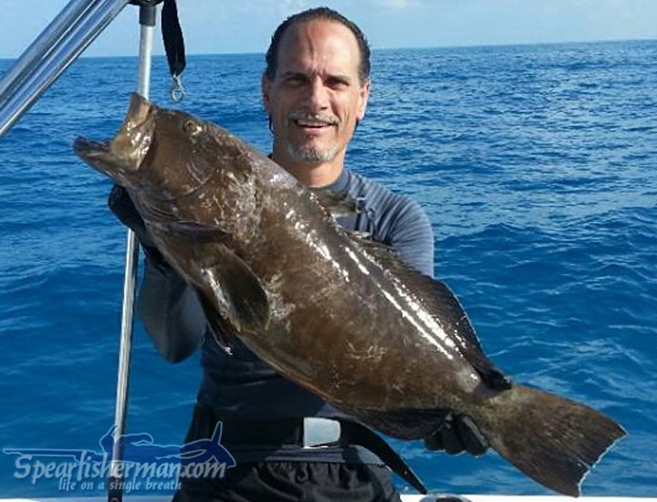 Spearfisherman.com - Spearfishing Gallery 2013